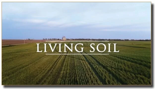 Lessons and Resources for Teaching About Soils — #TeachKyAg