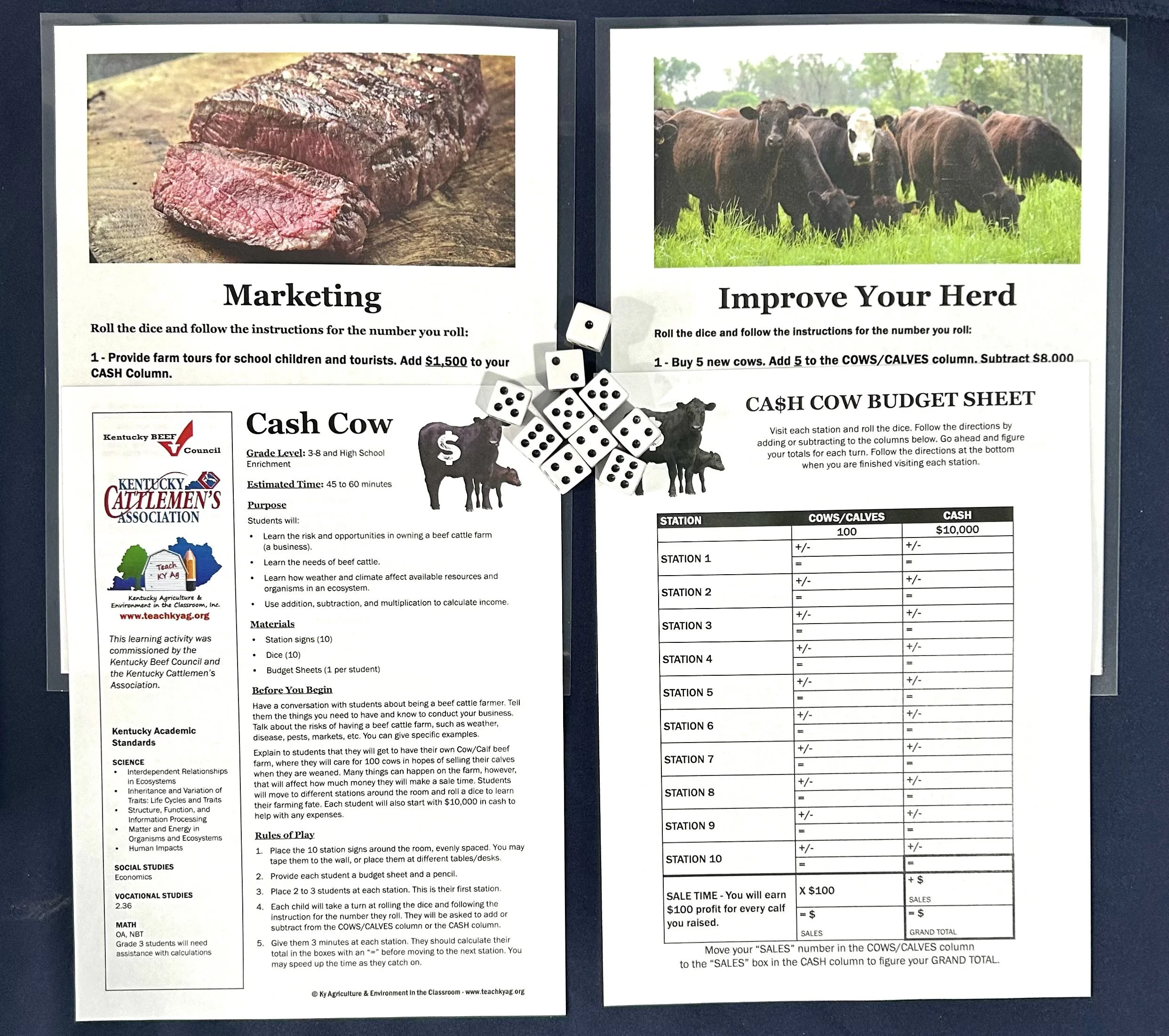 Cash Cow: Life in the Cattle Business — #TeachKyAg