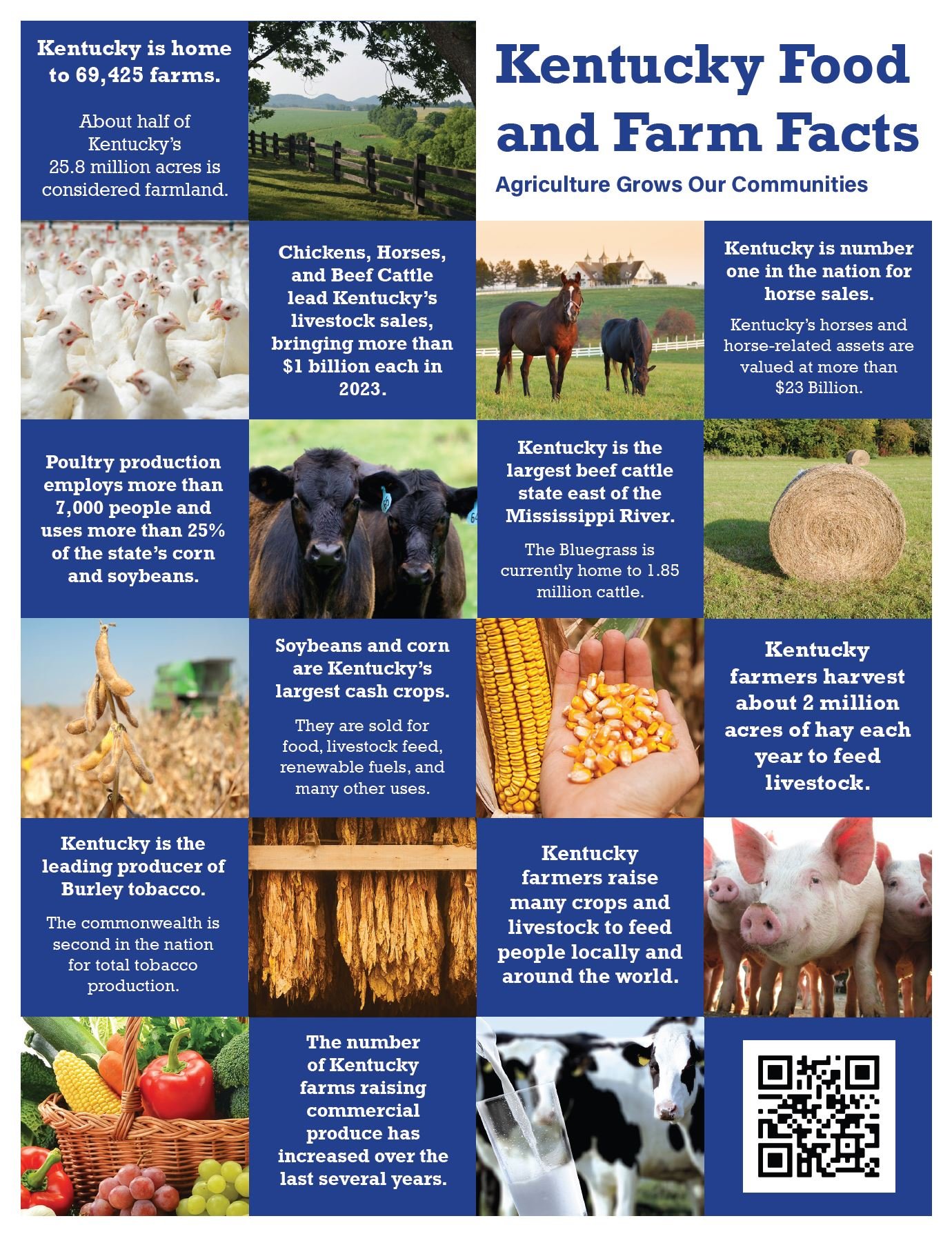 Kentucky Food and Farm Facts — #TeachKyAg