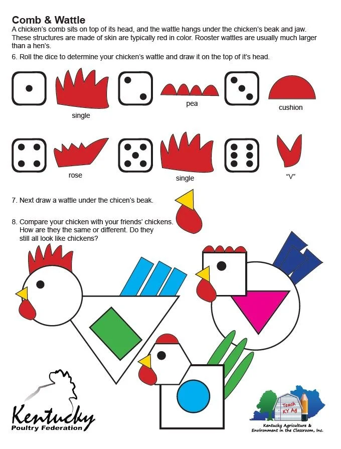 Let's Design a Chicken — #TeachKyAg