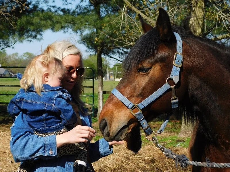 Little Wranglers — Wrangler & Friends