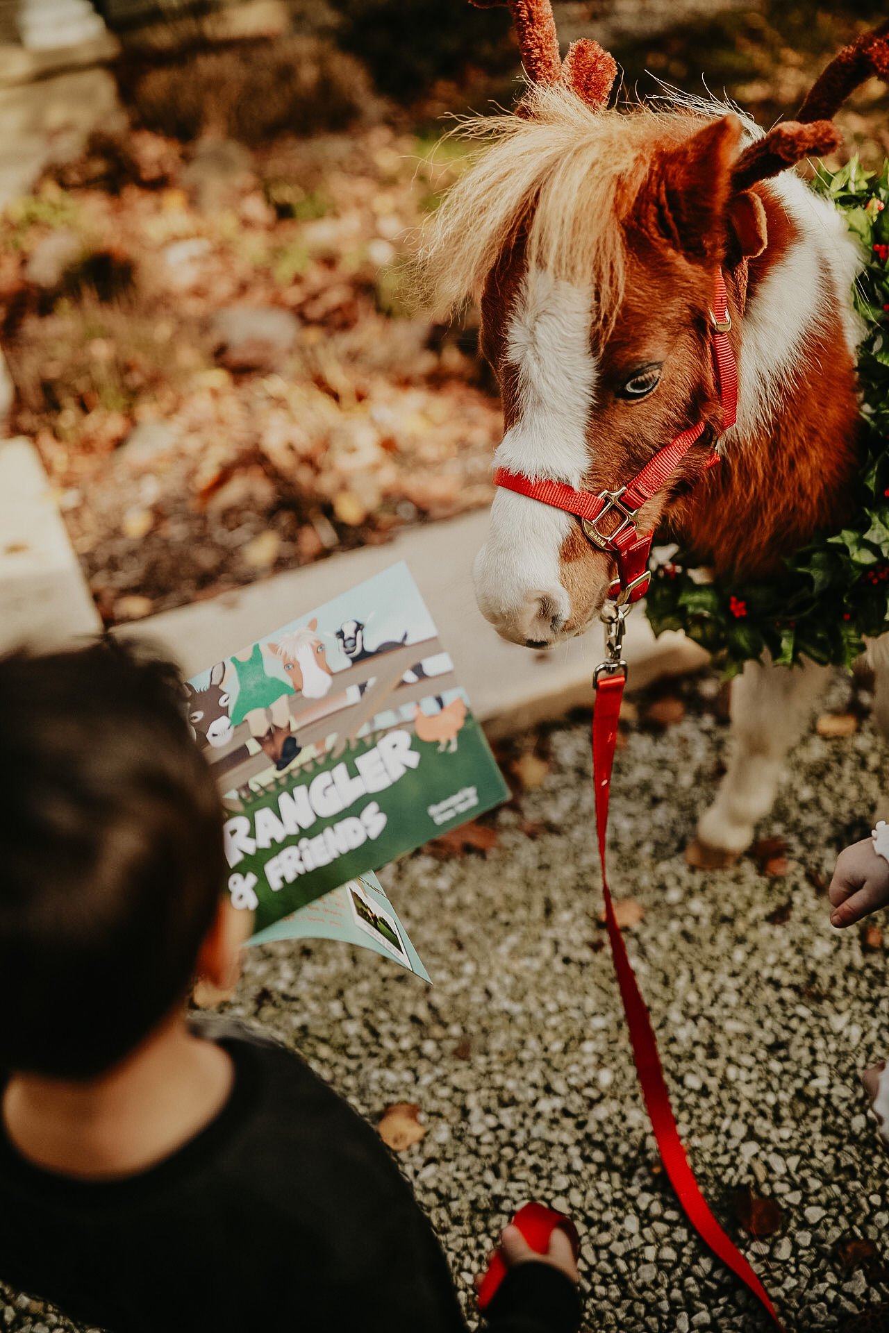 Children's Book + T-shirt — Wrangler & Friends