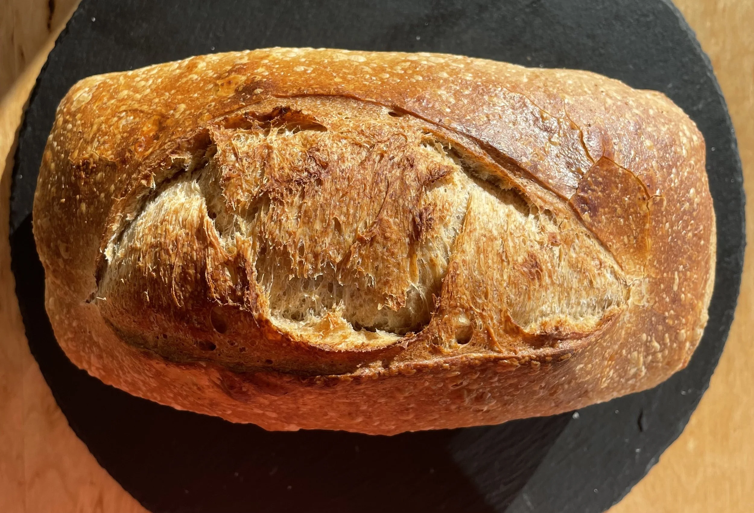 BAKERY — Farm Club