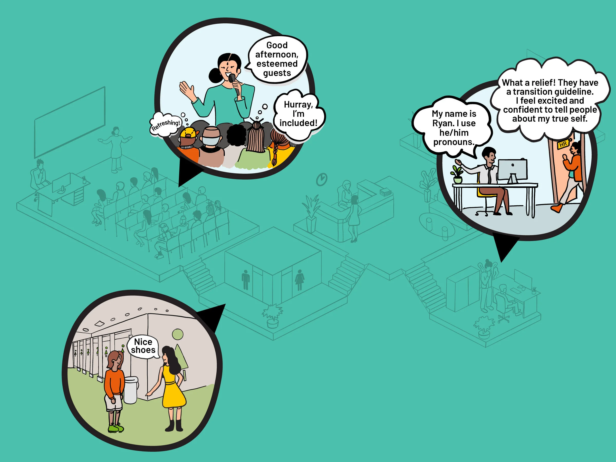 About — TransFocus