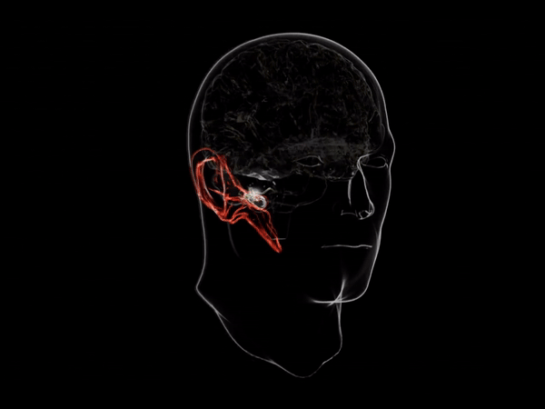 Ensven Turns Any Bed Into a Rocking Bed for Deeper, Better Sleep