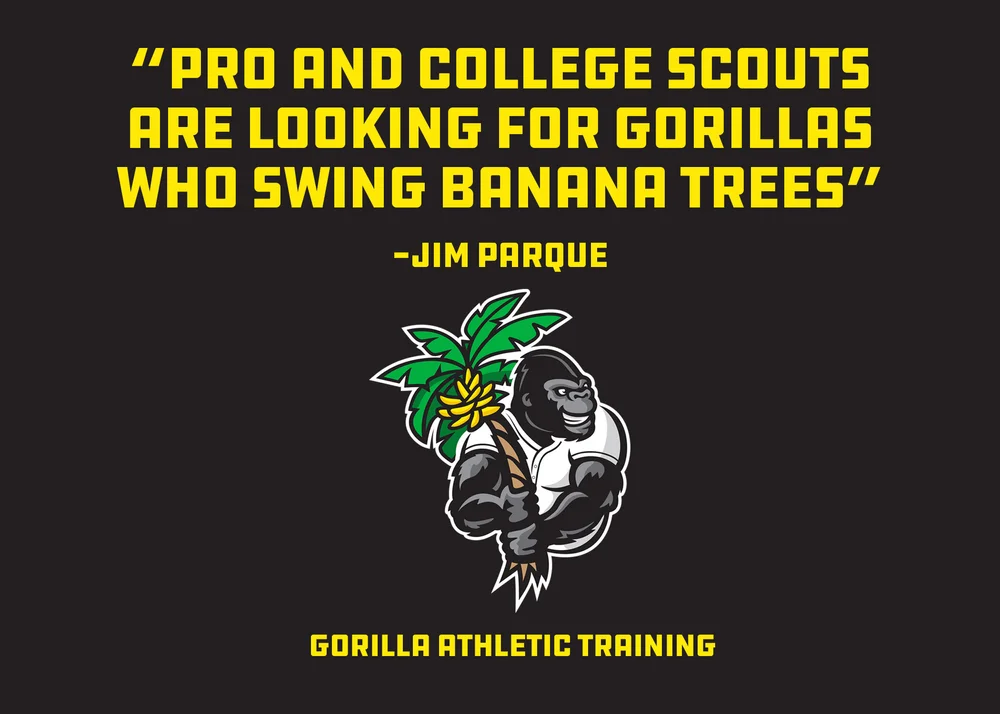 Gorilla Baseball Academy / Gorilla Athletic Training