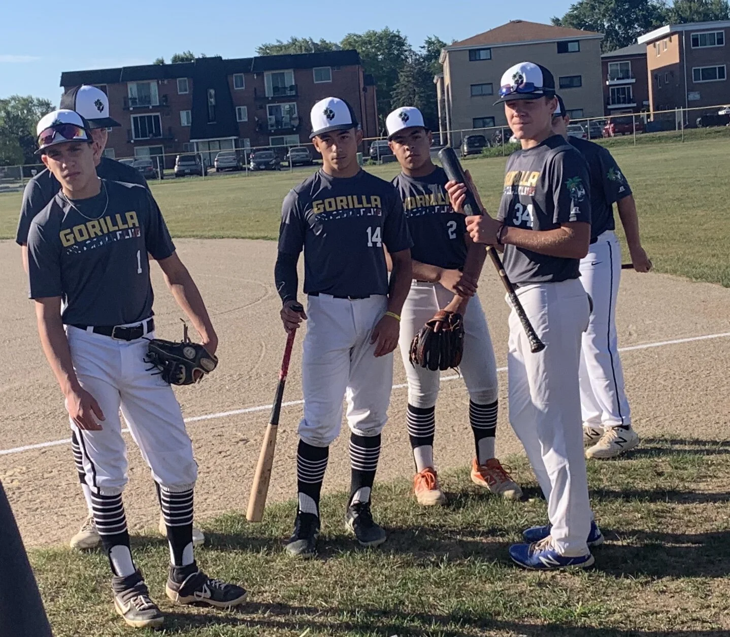 Gorilla Baseball Academy / Gorilla Athletic Training