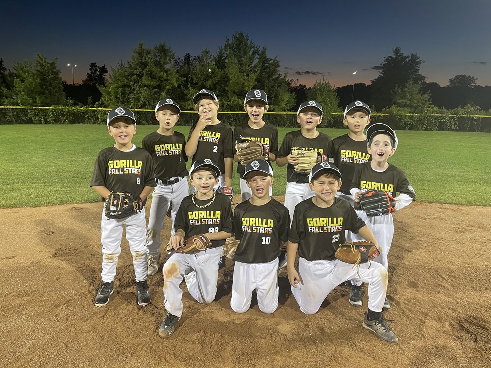 Gorilla Baseball Academy / Gorilla Athletic Training