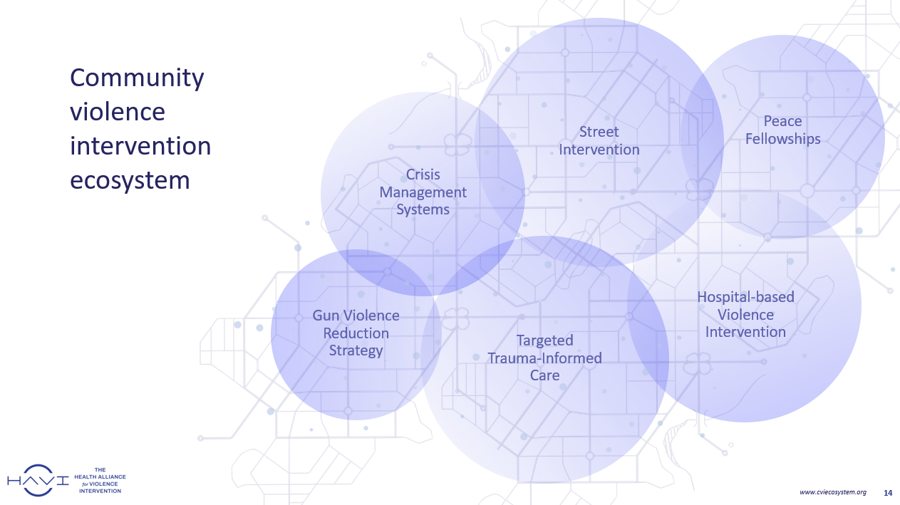 The HAVI — Community Violence | Health Alliance For Violence Intervention