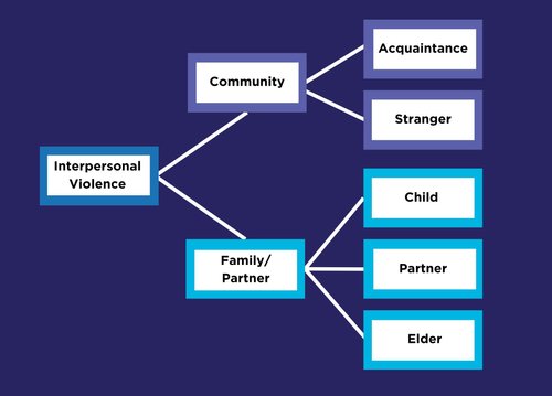 The HAVI — Community Violence | Health Alliance For Violence Intervention