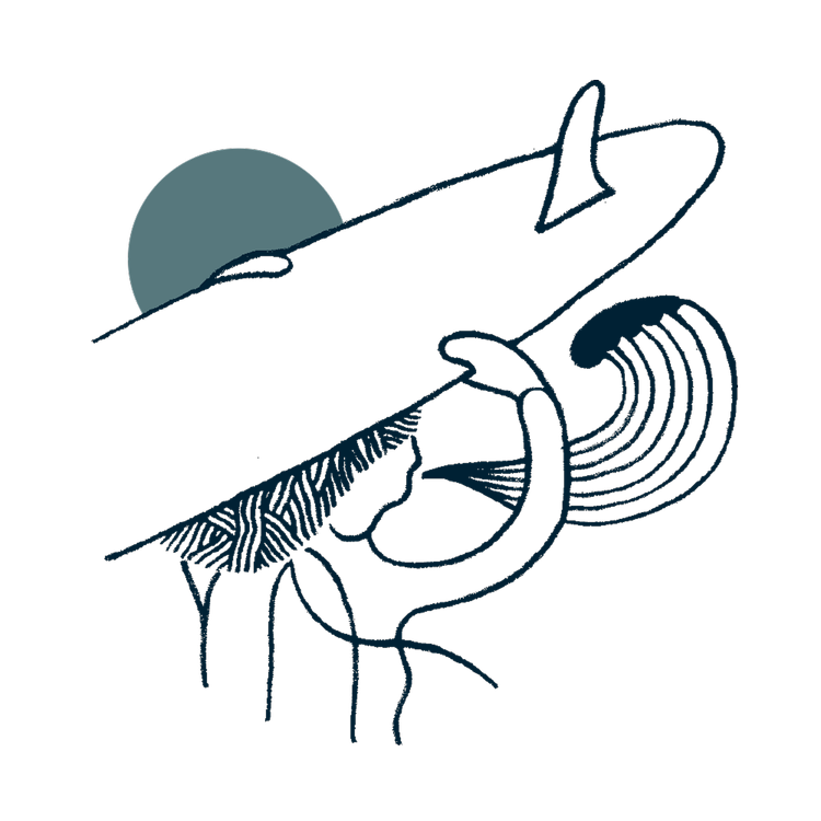 Learn to Surf — St Ives Surf School