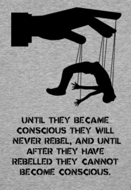 1984 Creative Projects — ShaneFairbanks.com