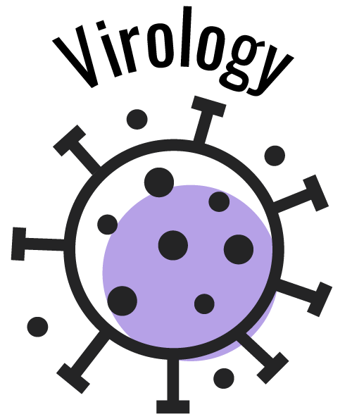 Covid-19 Testing — Cambridge Clinical Laboratories (CCL)