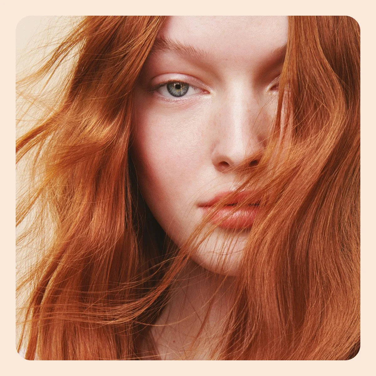 Signatur Colours — Session