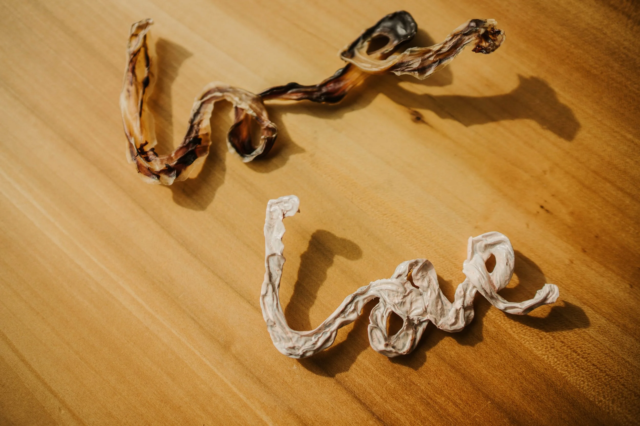Placenta Encapsulation — Nashville Doula Services