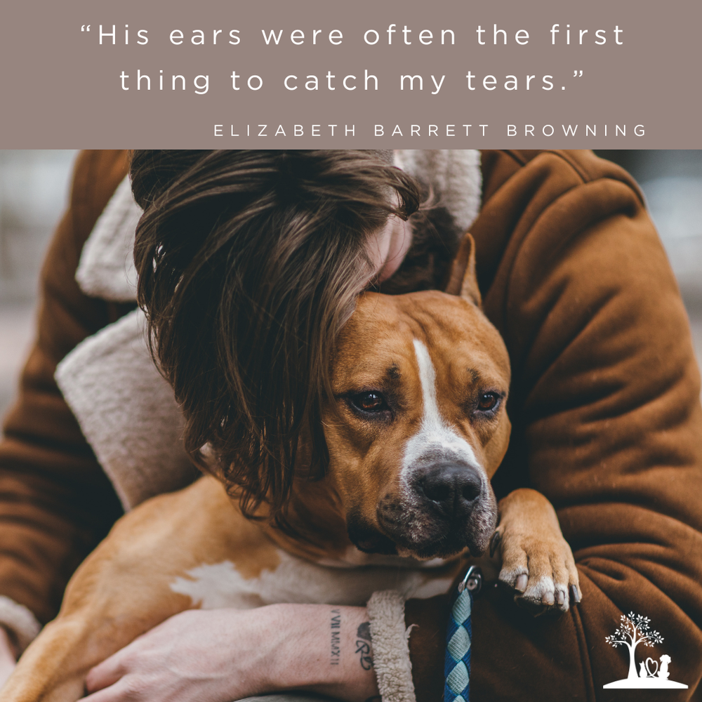 26 Powerful Pet Loss and Love Quotes | Reflections from a Hospice Vet ...