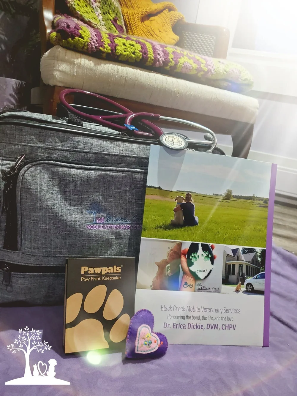 Reflections of a Hospice Vet: Pet Aftercare Q&A Series; Part 1 — Black ...