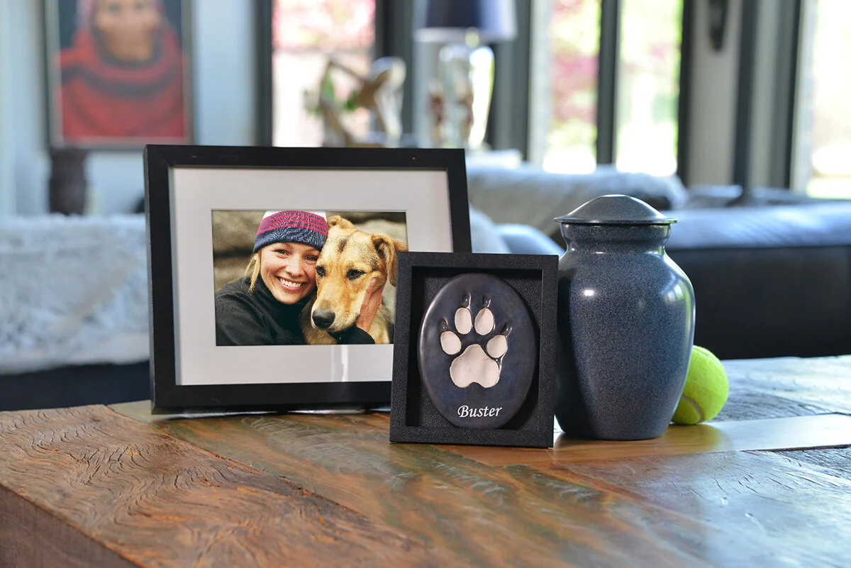 Reflections of a Hospice Vet: Pet Aftercare Q&A Series; Part 1 — Black ...