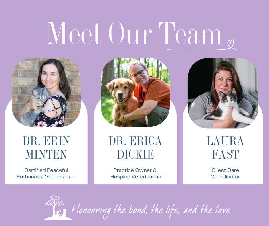 About Our Compassionate Mobile Vet Team — Black Creek Mobile Veterinary ...
