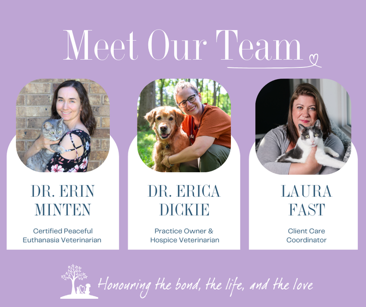 About Our Compassionate Mobile Vet Team — Black Creek Mobile Veterinary ...