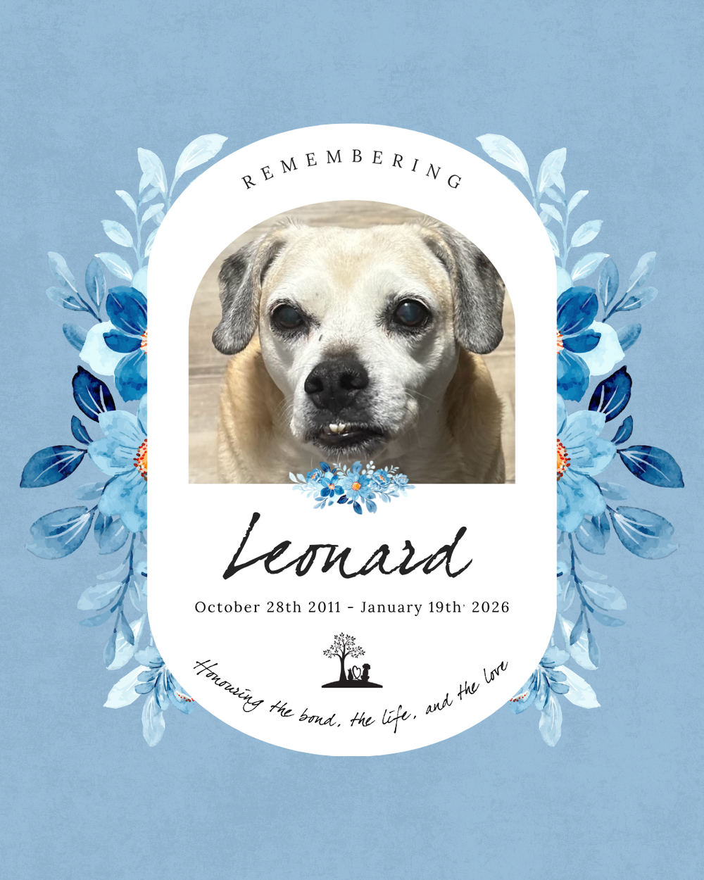 Remembering Leonard Nash: A Tribute to a Family Dog — Black Creek ...
