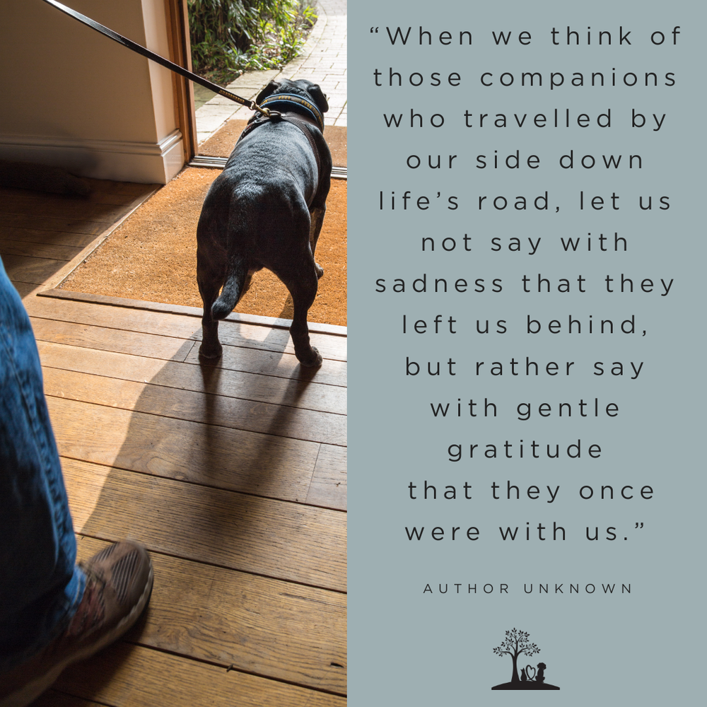 26 Powerful Pet Loss and Love Quotes | Reflections from a Hospice Vet ...