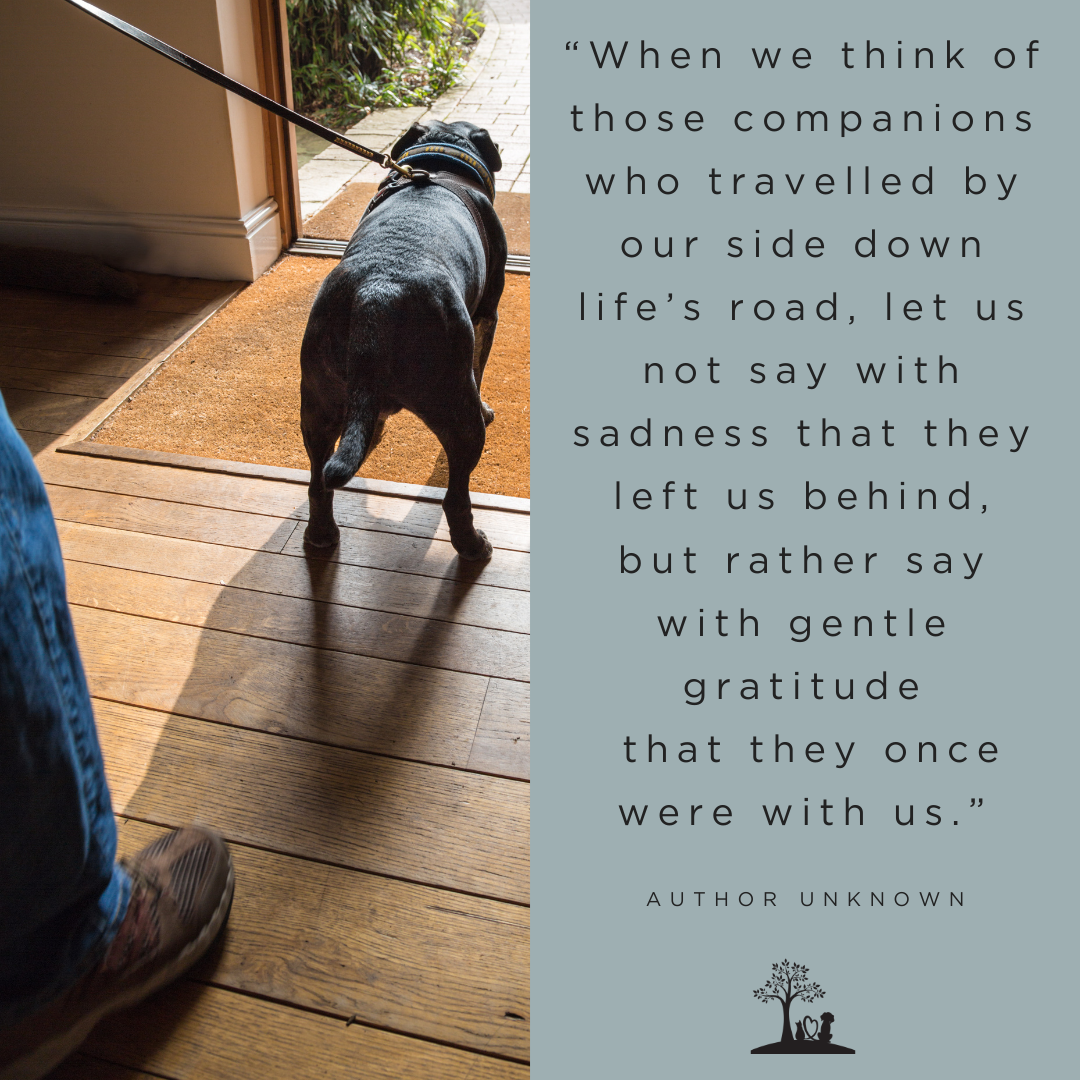 26 Powerful Pet Loss and Love Quotes | Reflections from a Hospice Vet ...