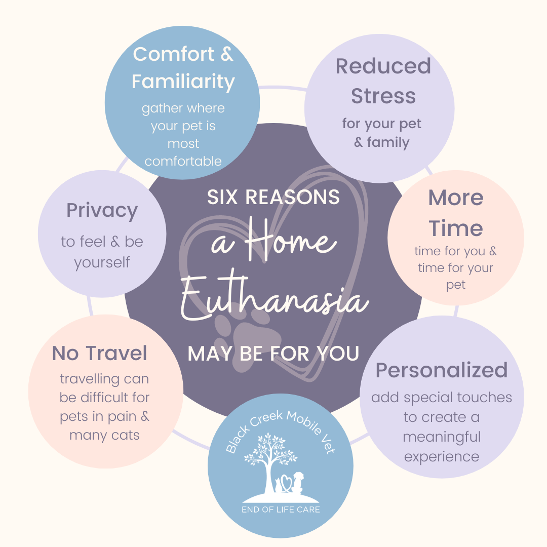 6 Reasons to Choose an In-Home Euthanasia For Your Pet — Black Creek Mobile Veterinary Services