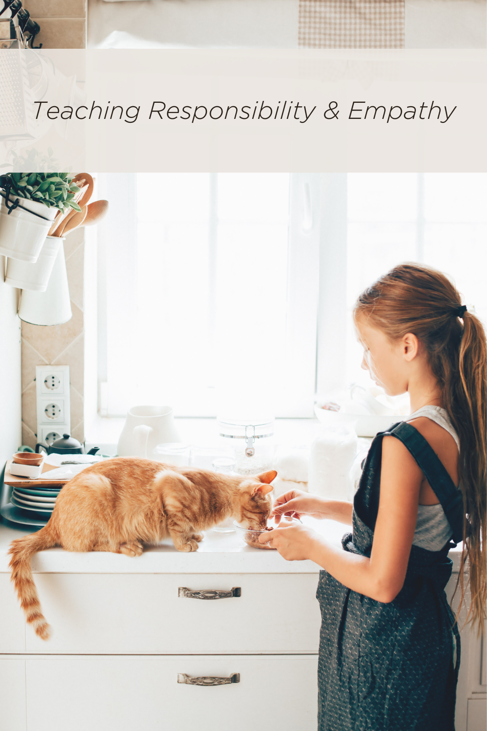 Top 5 Benefits of Owning a Pet | Protecting the Human-Animal Bond ...