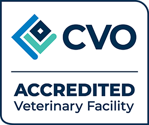 Black Creek Mobile Vet Services | Pet Comfort Vet | Dr. Erica Dickie