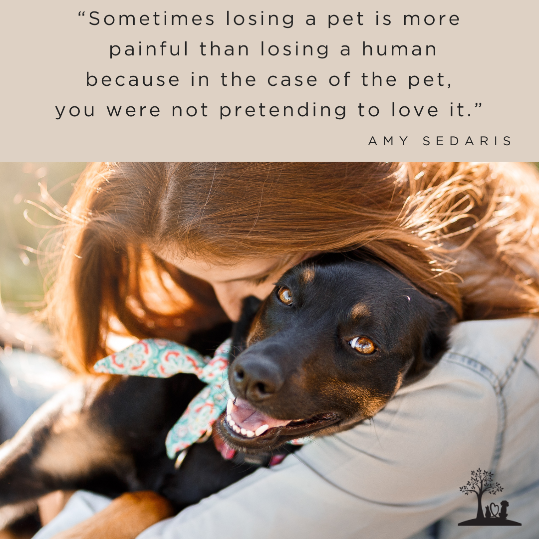 26 Powerful Pet Loss and Love Quotes | Reflections from a Hospice Vet ...