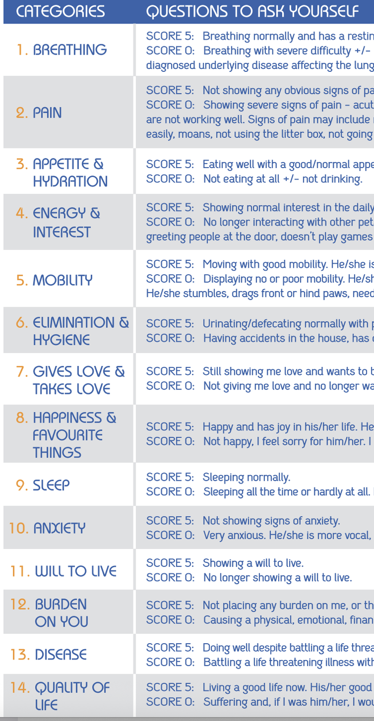 Download Essential Pet Loss Support Materials - Guides, Checklists ...