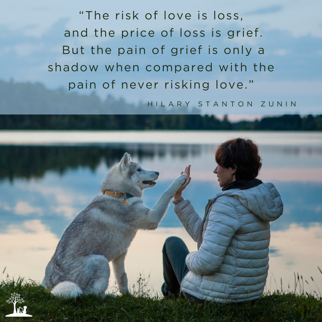 26 Powerful Pet Loss and Love Quotes | Reflections from a Hospice Vet ...