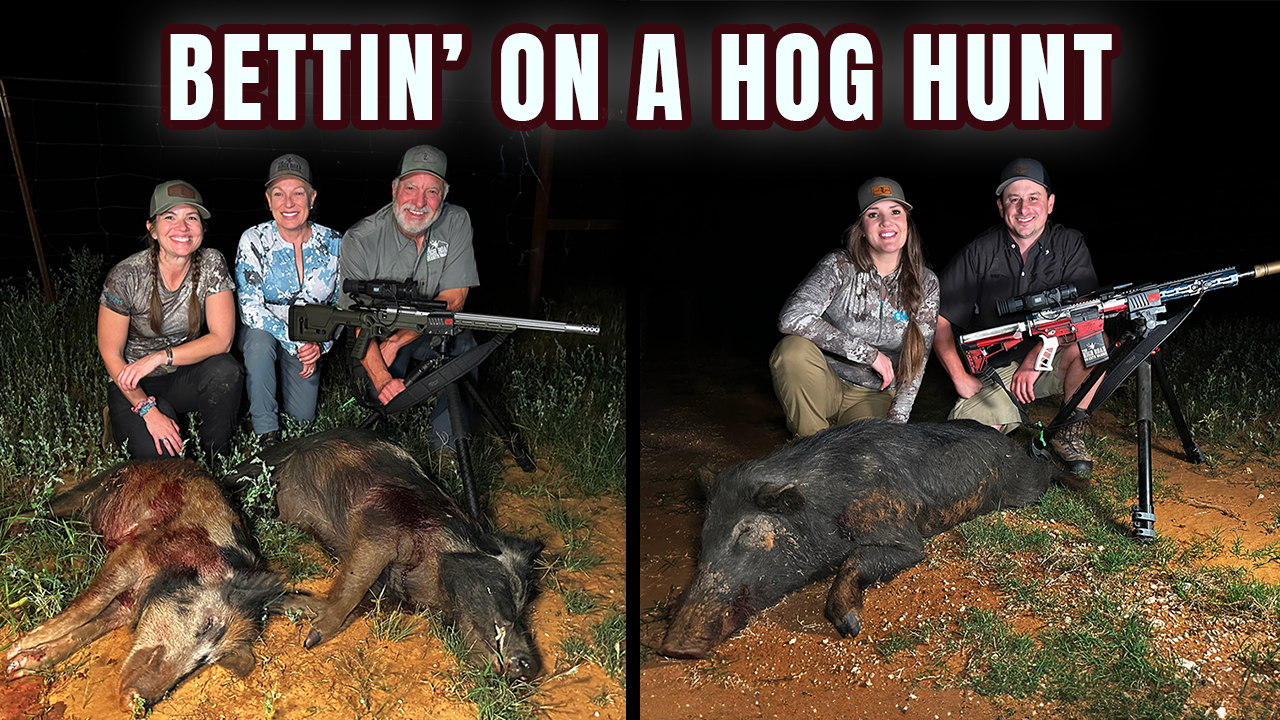 HIGH Stakes Hog Hunt — The High Road with Keith Warren
