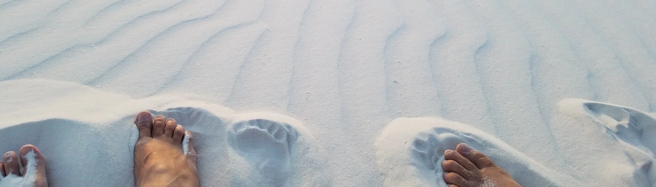 About — Life Rewards Action