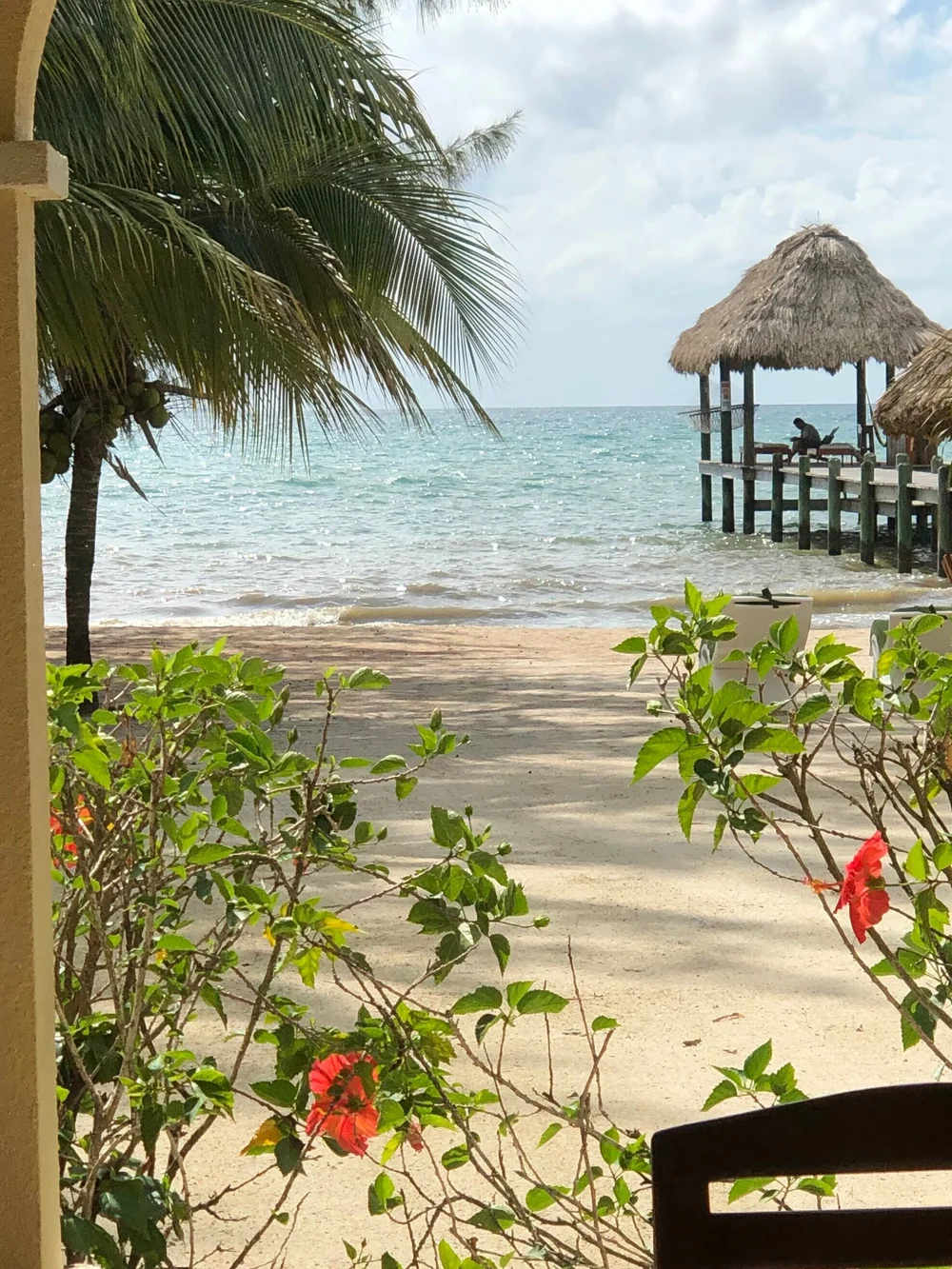 Grocery Shopping is Different in Belize. How to Source Food. — Belize ...