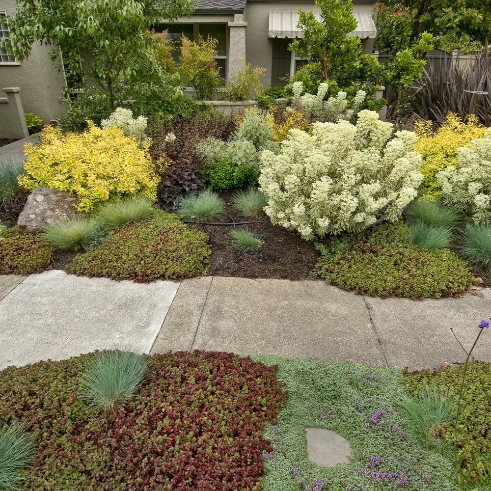7 Energy-Efficiency Landscaping Ideas — The Wire by XOOM Energy