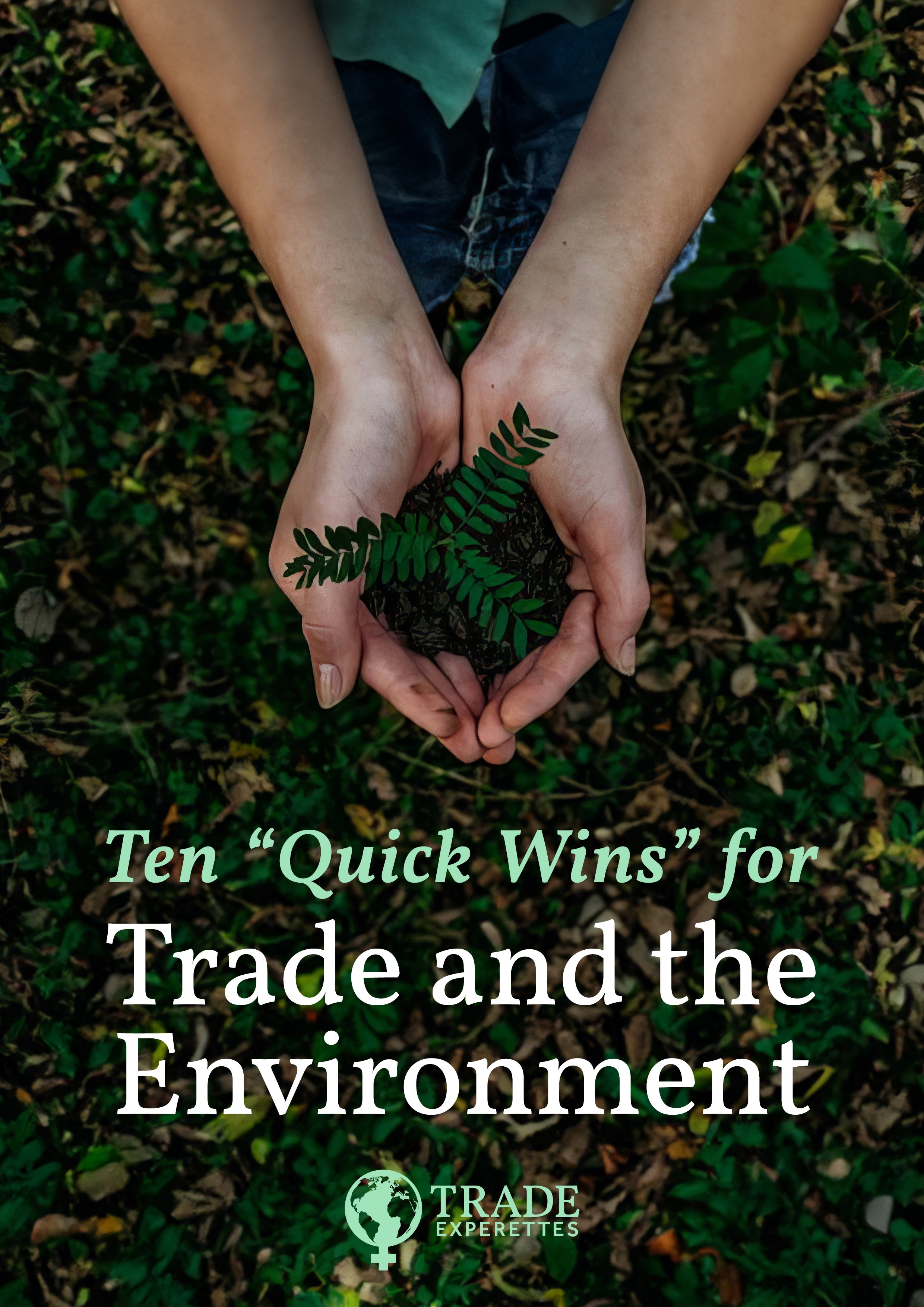 Release of Ten ‘Quick Wins’ for Trade and the Environment — TradeExperettes