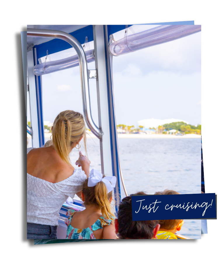 Cruises — Premier Dolphin Cruise