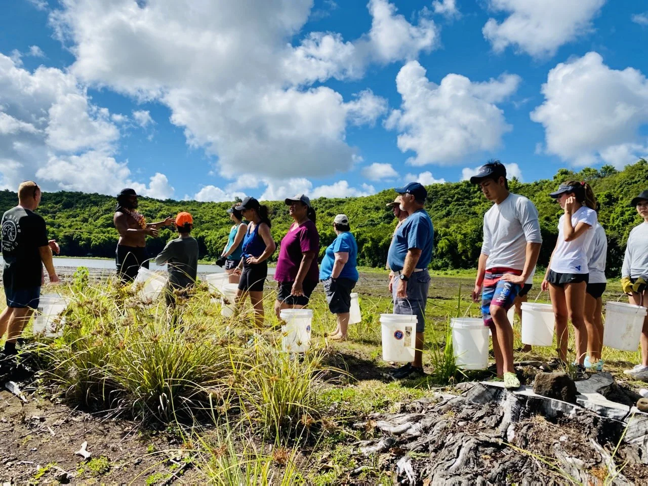 CHNA — Healthcare Association of Hawaii
