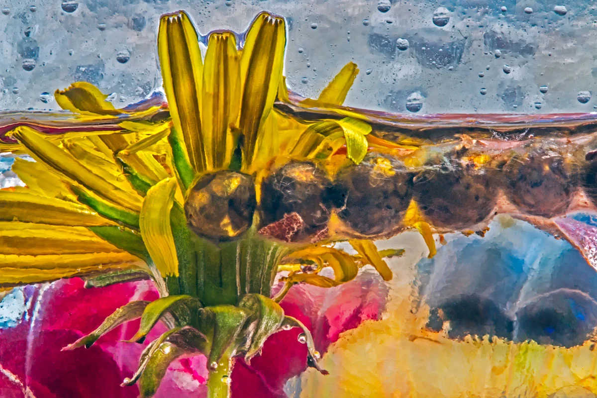 James Blythe — Artists' Link Memphis