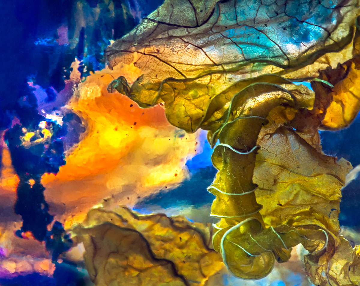 James Blythe — Artists' Link Memphis