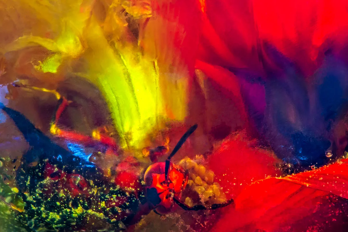 James Blythe — Artists' Link Memphis