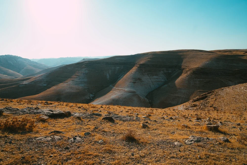 Moses The Shepherd — Andrew Forrest