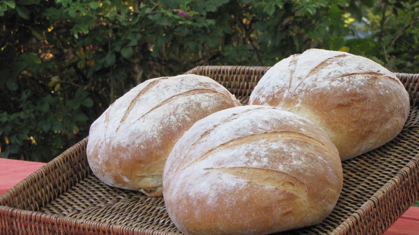Basic White Loaf — Station House cookery school