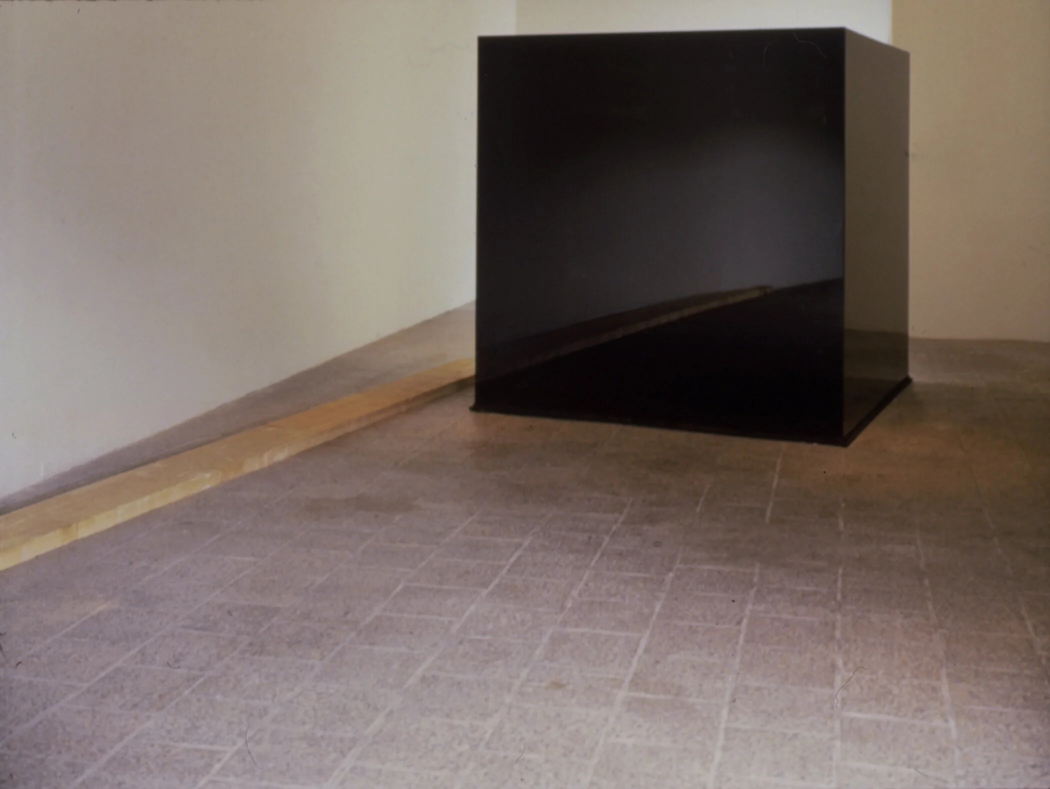 Priapic Cube — Patricia Carr Morgan