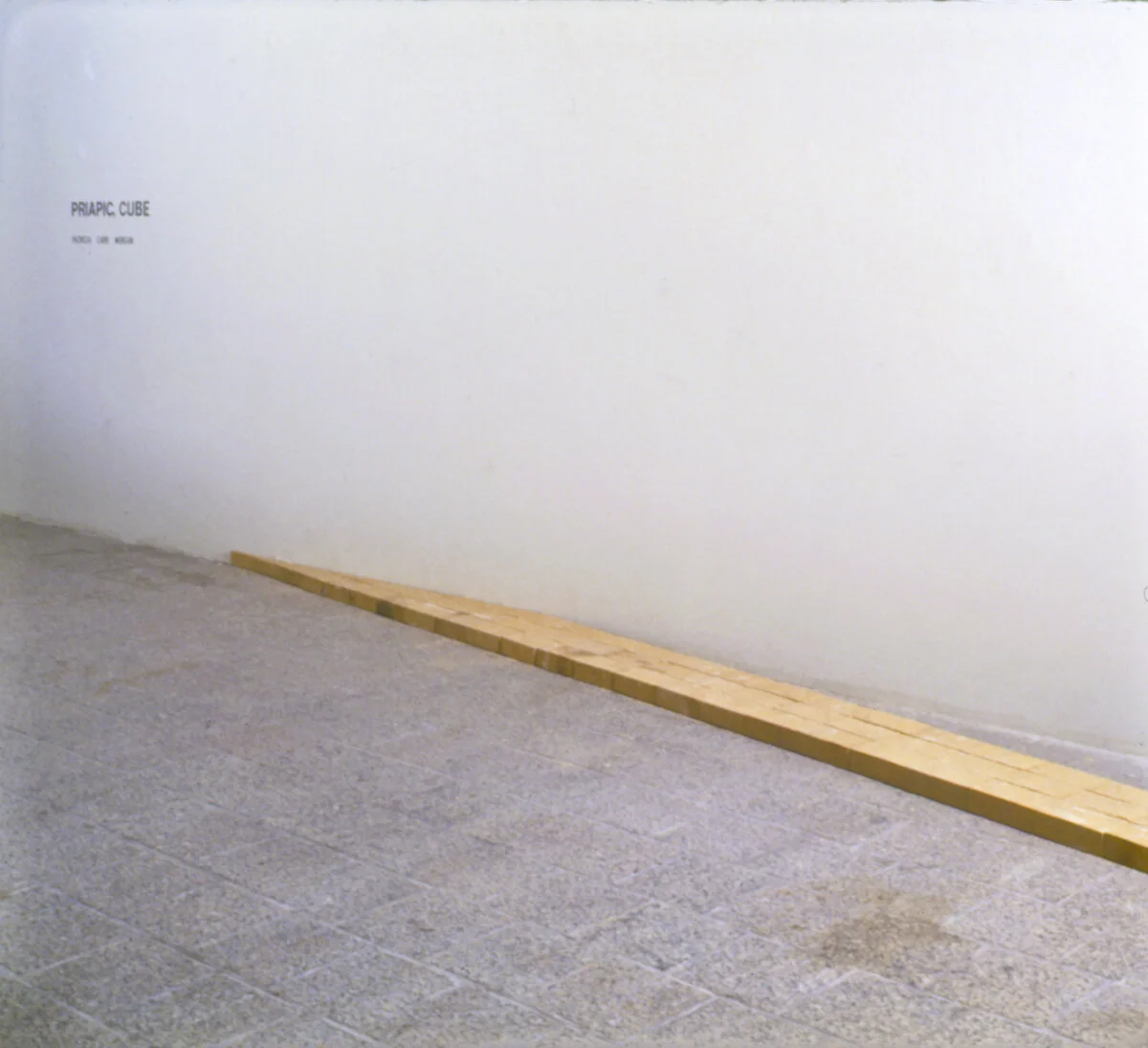 Priapic Cube — Patricia Carr Morgan