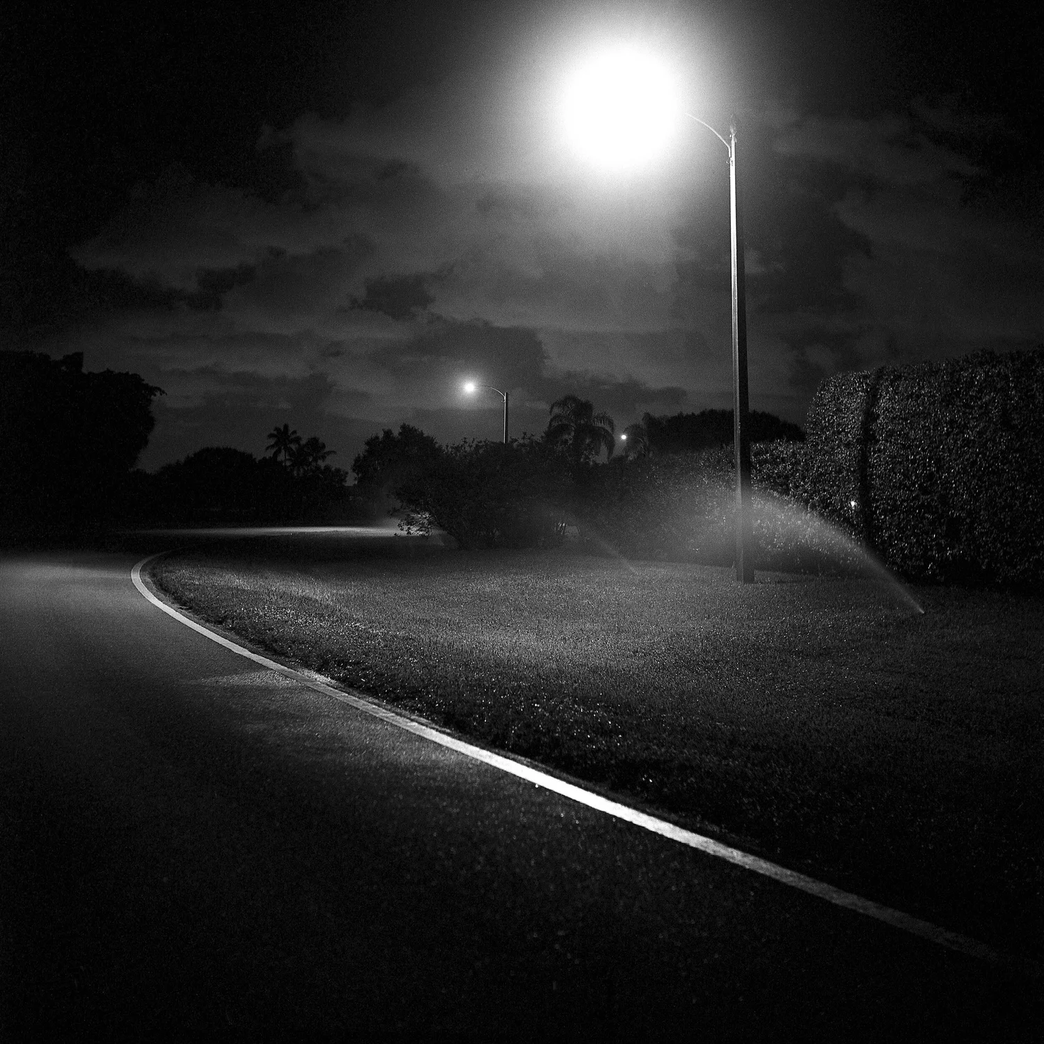 Blaine Williams