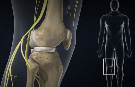 NorCal Pain Treatment Center