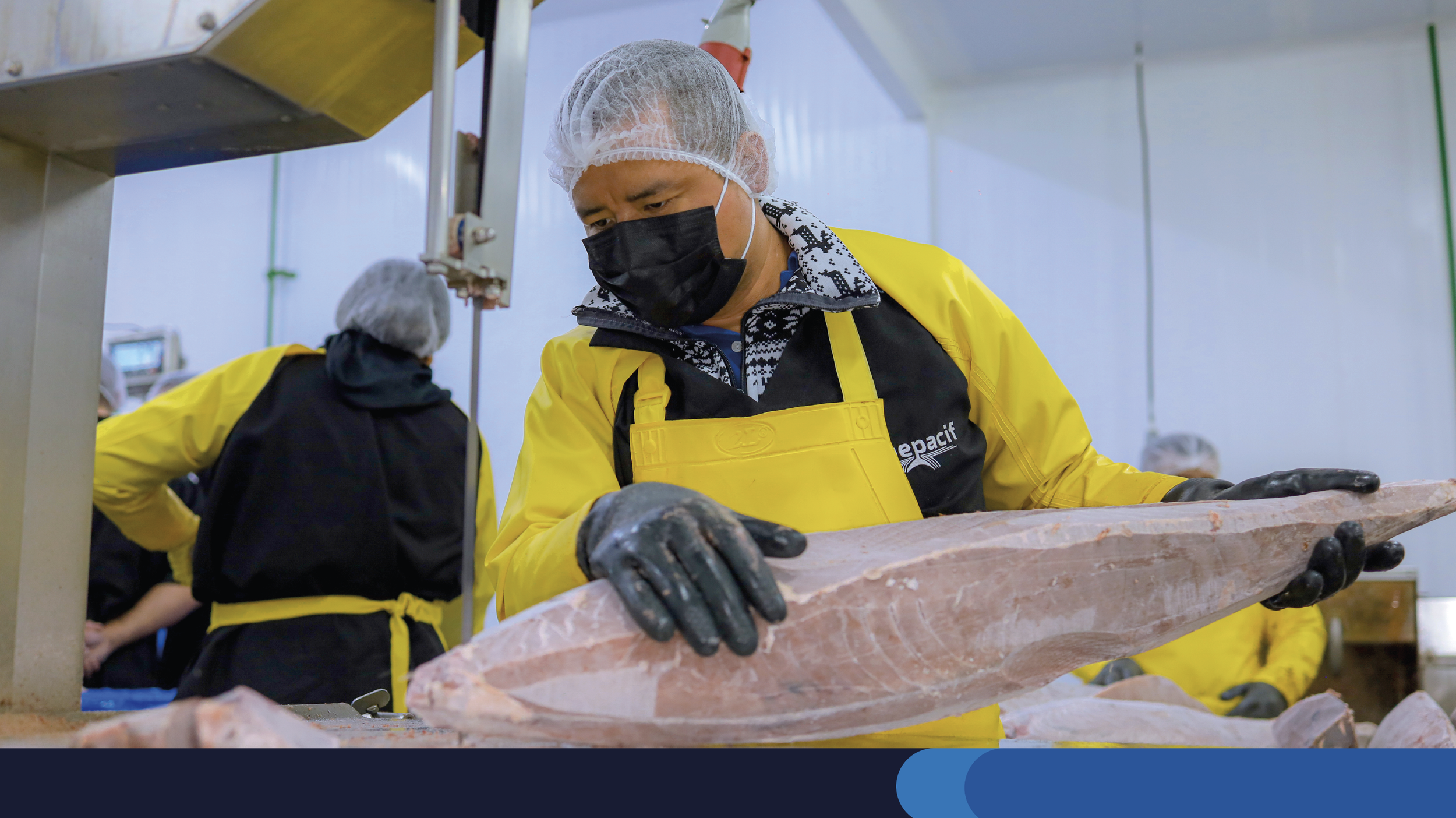 Ecuadorian Pacific Tuna — BluePacif